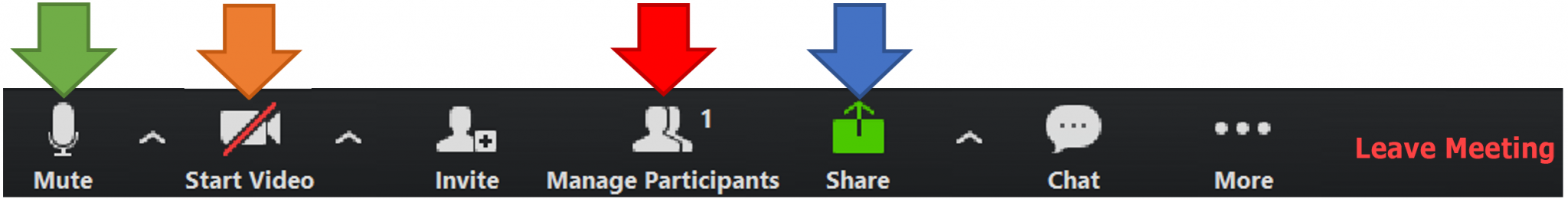 Participants – How to use Zoom and FAQs